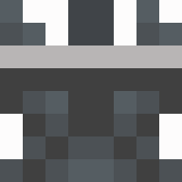 Border Patrol | Minecraft Skins