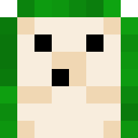 player heads | Minecraft Skins