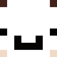 platin | Minecraft Skins