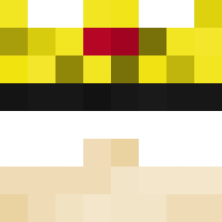 GAMERFLEET | Minecraft Skin