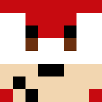 microsoft | Minecraft Skins