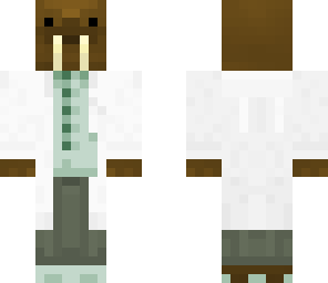 Walrus Doctor | Minecraft Skin