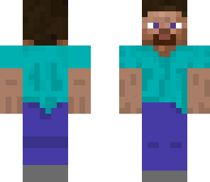 Flipped Steve | Minecraft Skin
