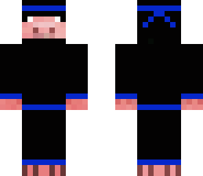 the ninja pig | Minecraft Skin