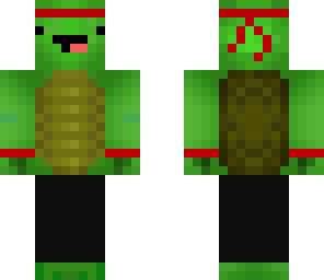 derp turtle | Minecraft Skin