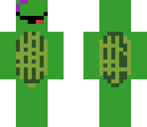 Girl Derp Turtle | Minecraft Skin