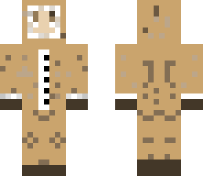 Antarctic Explorer | Minecraft Skin