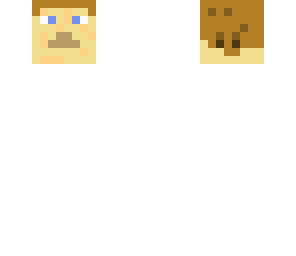 The floating head | Minecraft Skin