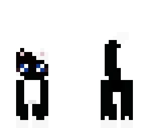 Black Paws Minecraft Skins