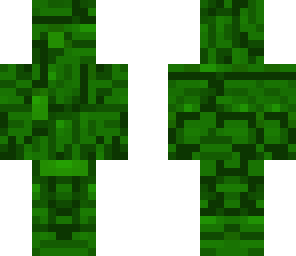 Ragixer Camo Camouflage Hunger Jungle Leaves Minecraft Skins