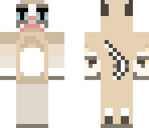 grumpy cat | Minecraft Skin