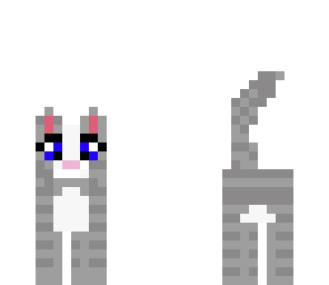 Grey Cat | Minecraft Skin
