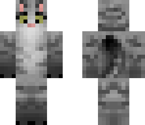 Grey Tabby Cat | Minecraft Skin