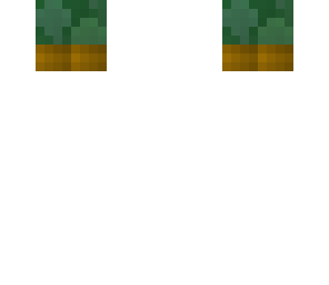 florero big oak | Minecraft Skin