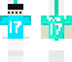 miami dolphins | Minecraft Skin