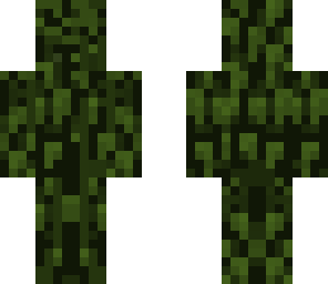 Birch | Minecraft Skin