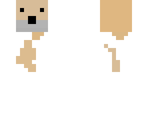 Ginger the Shih Tzu | Minecraft Skin