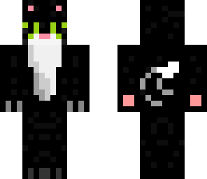 gato negro | Minecraft Skins