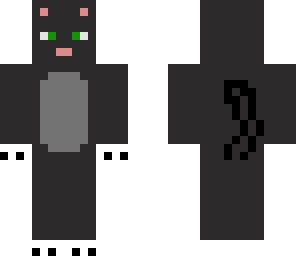 Dark cat with white paws | Minecraft Skin