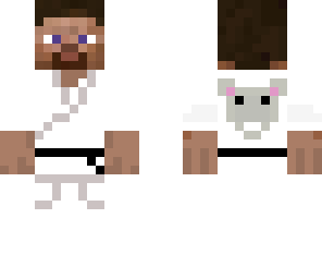 judo steve | Minecraft Skin