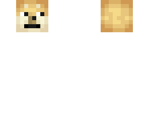 DOGE Head | Minecraft Skin