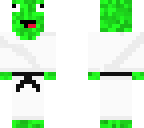 derp turtle | Minecraft Skin
