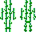 Sugar Cane | Minecraft Skins