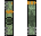 100 Dollar Bill | Minecraft Skin