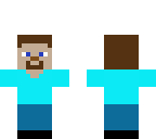 mini steve | Minecraft Skin