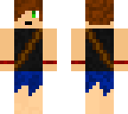 Judo Master | Minecraft Skin