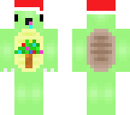 derp turtle | Minecraft Skin