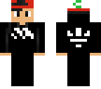 pokemon go | Minecraft Skin
