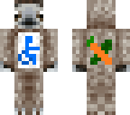 handicap | Minecraft Skins