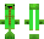 preacher turtle | Minecraft Skin