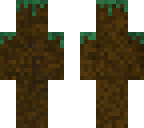 Tierra | Minecraft Skin