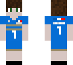 France Volleyball Player | Minecraft Skin