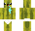 Derp baby melon | Minecraft Skin