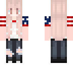 patriotic | Minecraft Skin