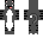 Derpy Cat | Minecraft Skin