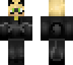 Chat Noir | Minecraft Skin