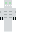 The rake | Minecraft Skin