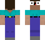 Backwards Steve | Minecraft Skins