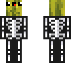 Derpy Scary Melon | Minecraft Skin