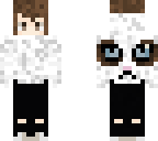 Grumpy Cat skin | Minecraft Skin