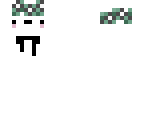 35 omg | Minecraft Skins