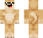 Derpy Doge | Minecraft Skin