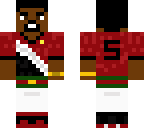 Polo | Minecraft Skin