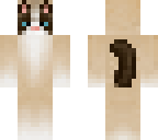 Grumpy cat tail fixed | Minecraft Skin