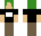 Flip | Minecraft Skin