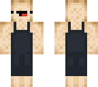 toast | Minecraft Skin